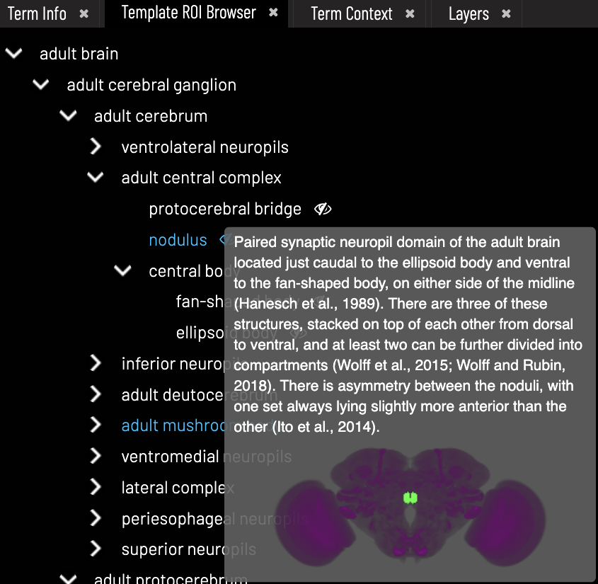 Visualisation | Virtual Fly Brain
